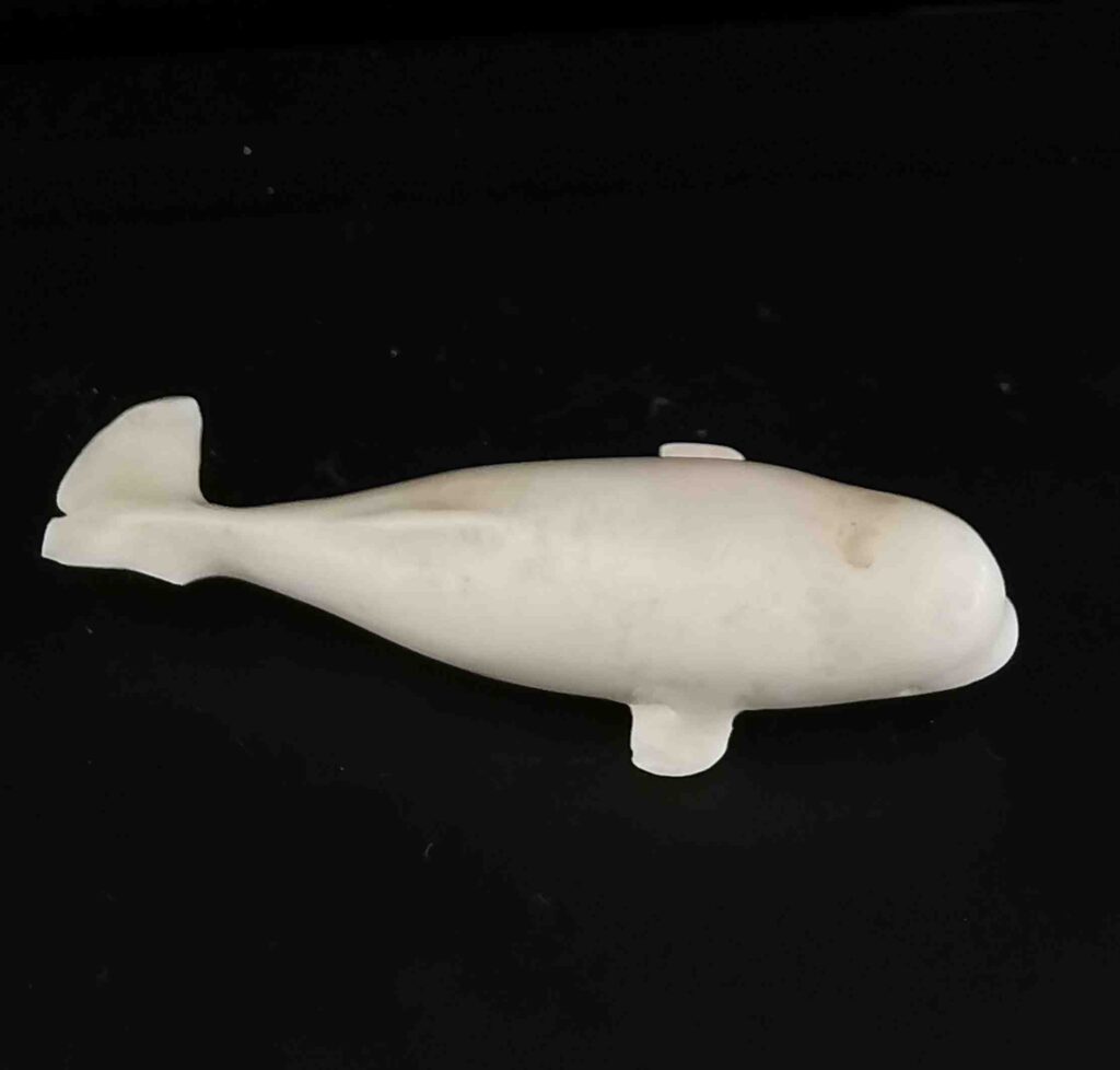 Beluga Whale – 220 | Galleri Enoksen