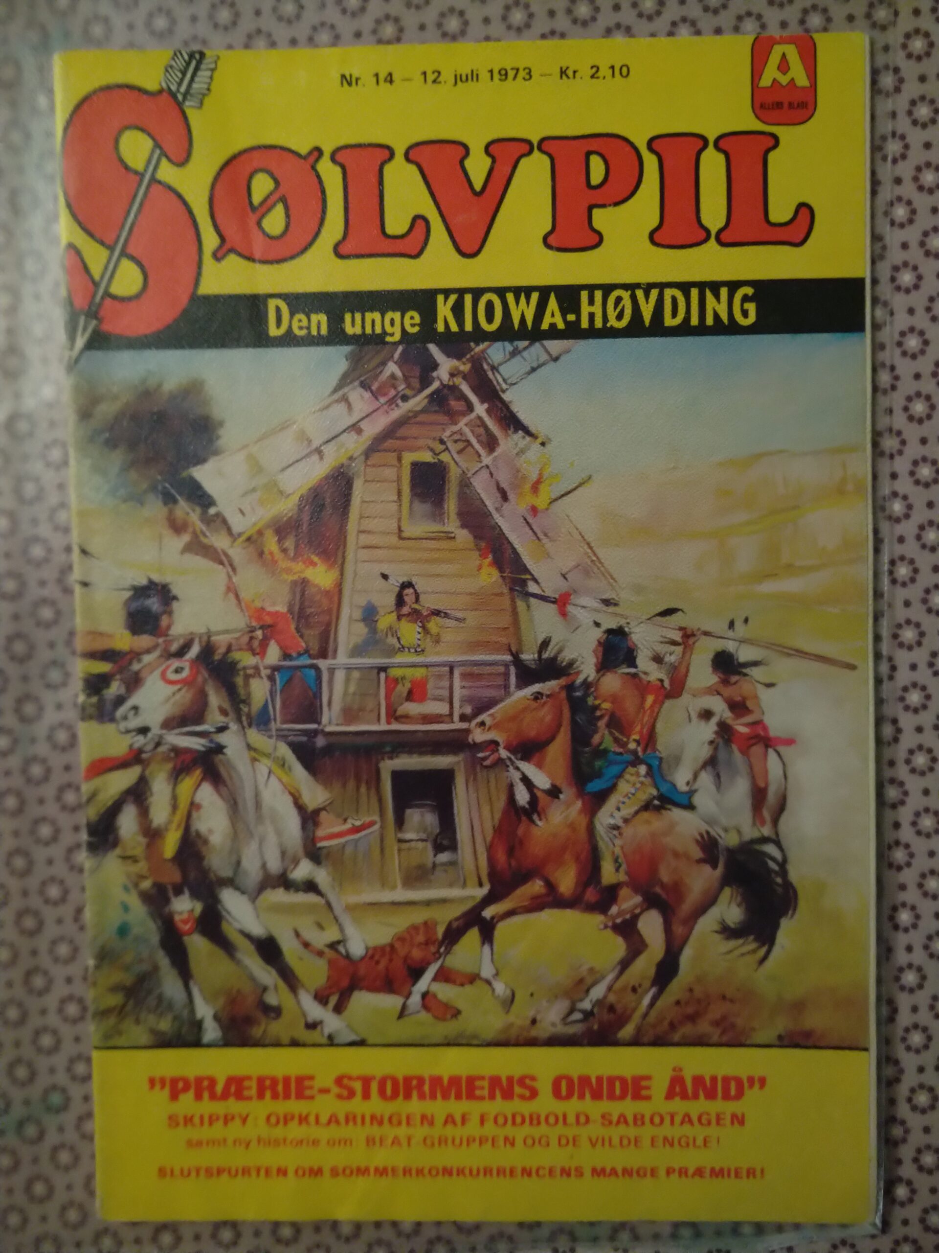 Sølvpil | Galleri Enoksen