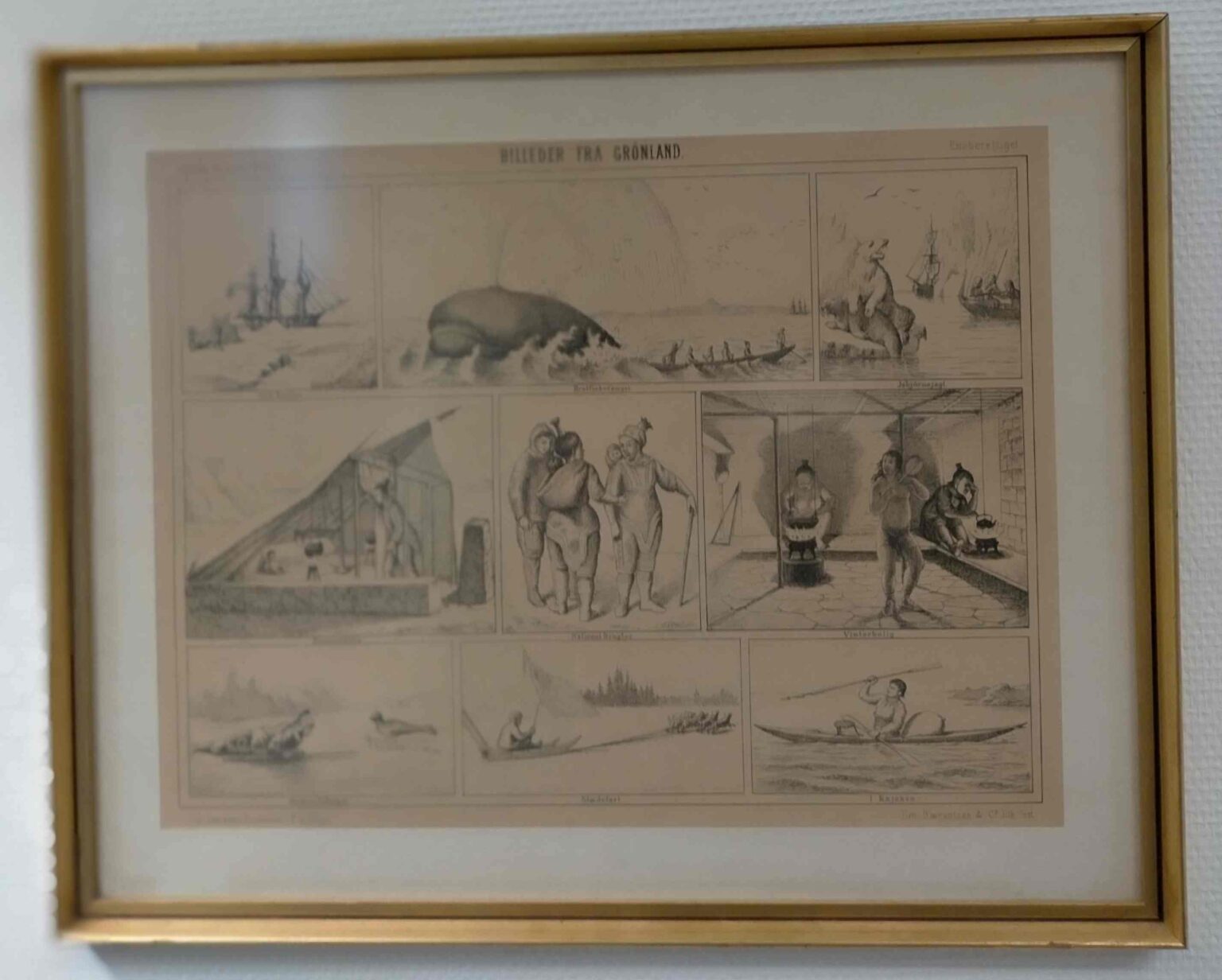 Pictures from Greenland | Galleri Enoksen