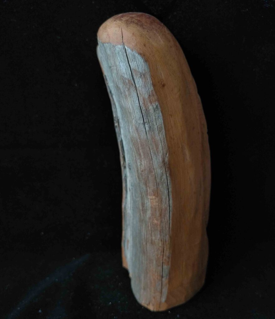 Burst – 219 | Galleri Enoksen